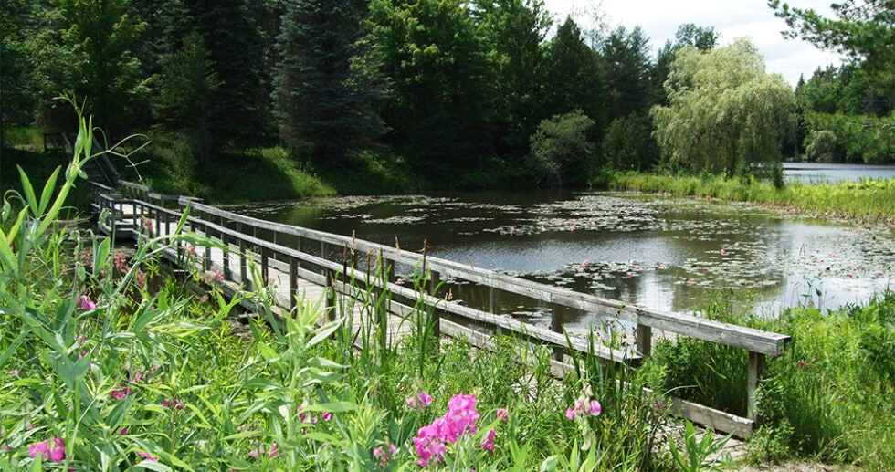 Explore Angus & Surrounding Area